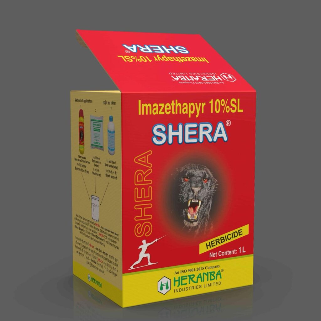 Folding Cartons – Shree Pack Containers Pvt. Ltd.